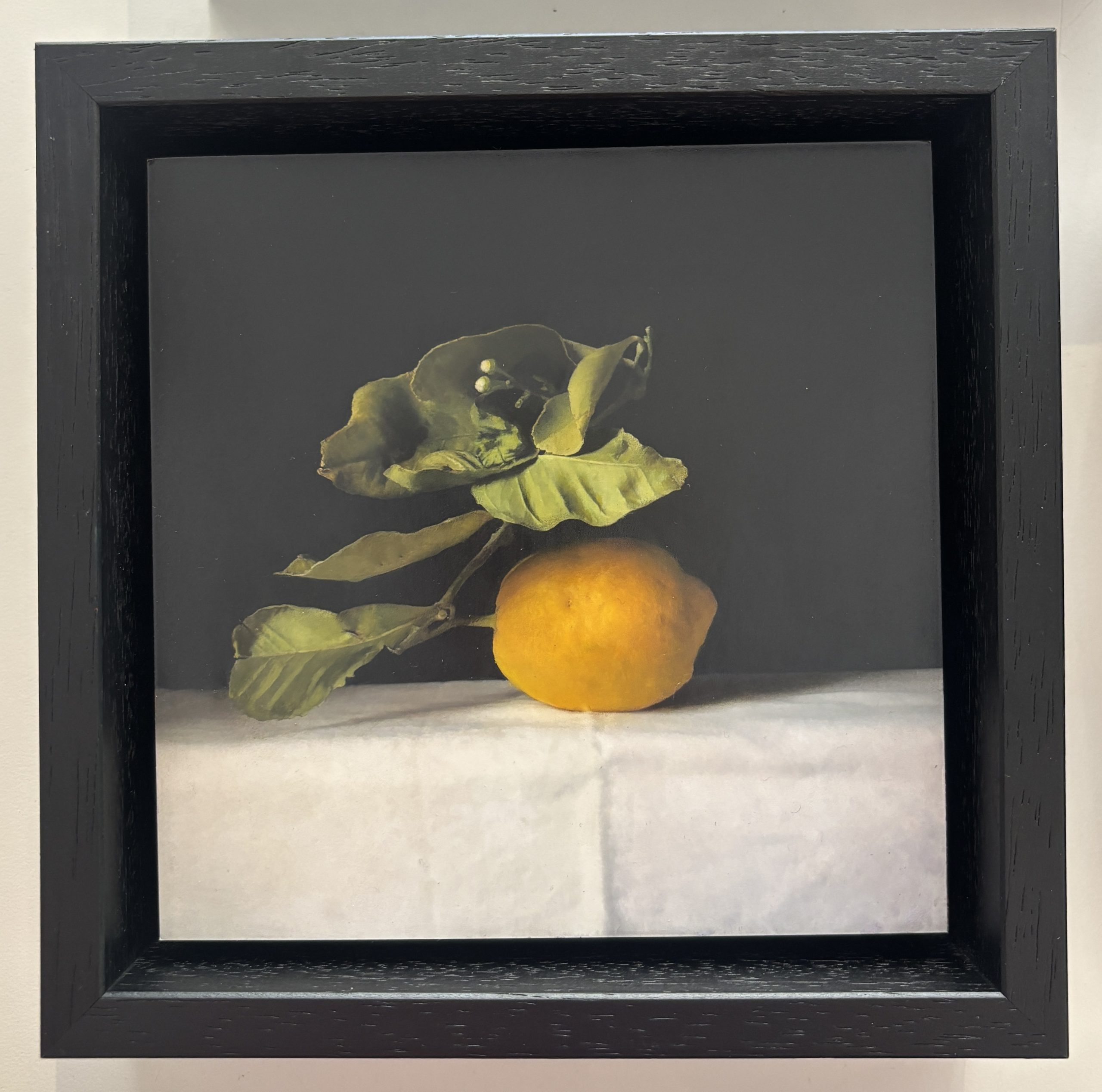 Flight of Fancy - Select Gallery